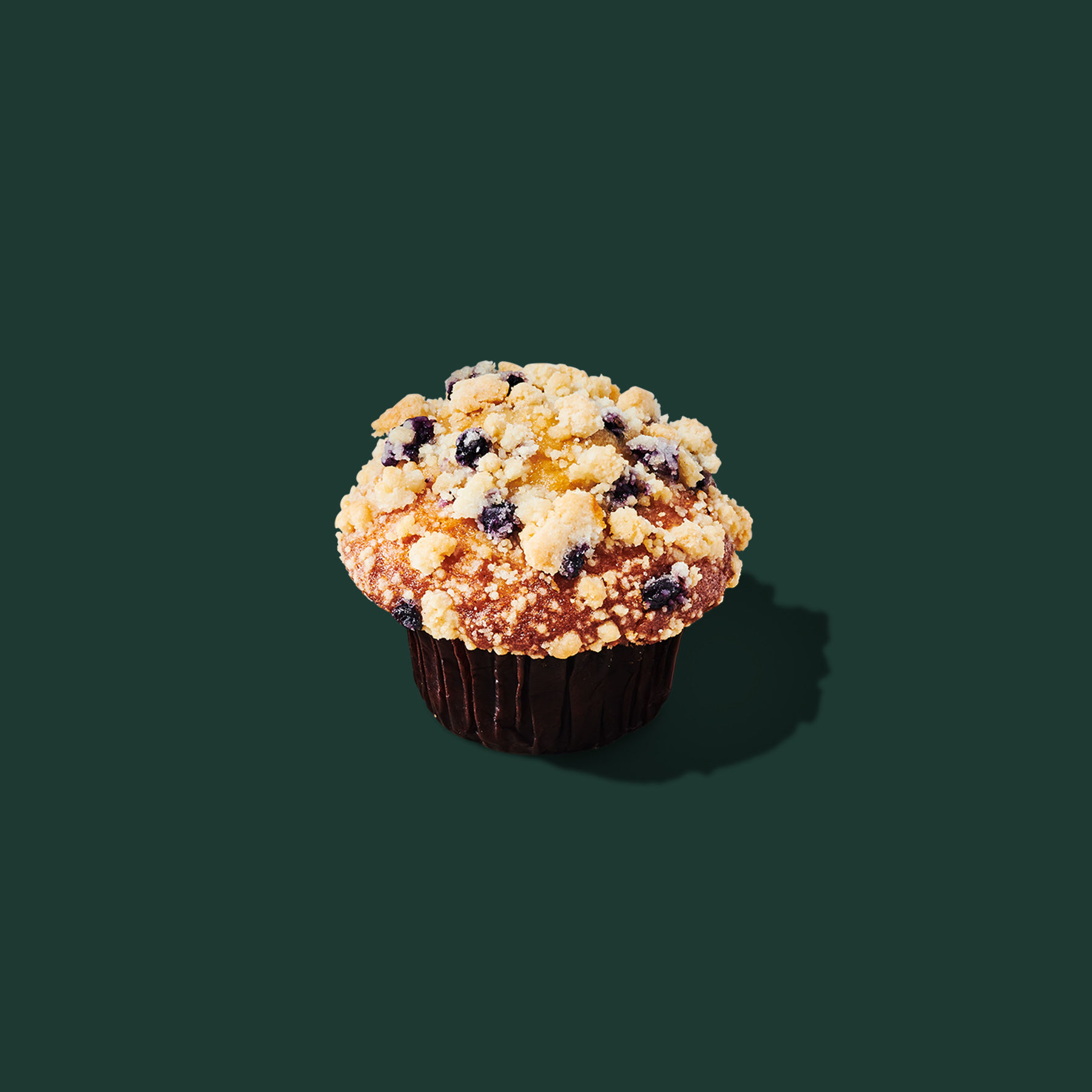 Blueberry Muffin with Yogurt & Honey